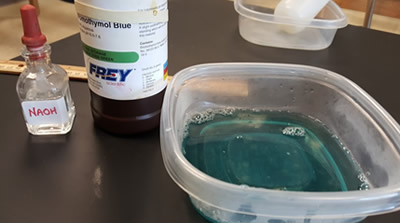 Modeling Diffusion in the Cell