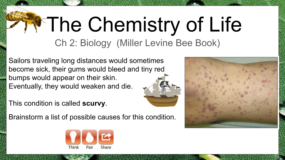 The Chemistry of Life - Notes and Slides