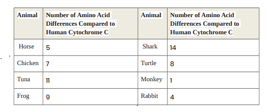 Biochemical Evidence For Evolution Worksheet Biochemical Evidence Of