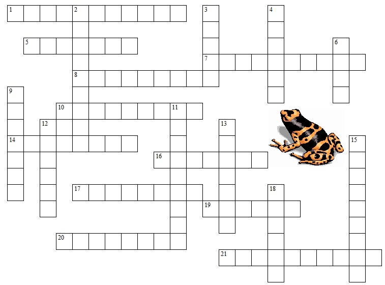 Frog Dissection Crossword