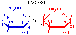 AP Bio Notes - Organic Molecules