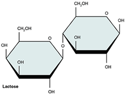 Organic Chemistry Reinforcement