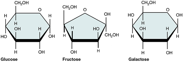 Organic Chemistry Reinforcement