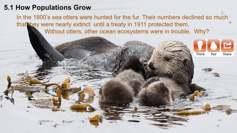 Chapter 5 - Populations and Demography