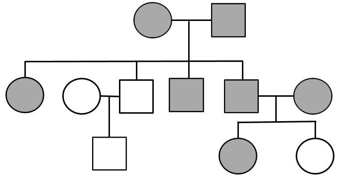 Pedigrees Practice - Pedigrees Practice - Human Genetic Disorders
