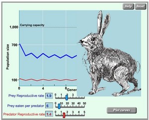 Predator Prey Simulation