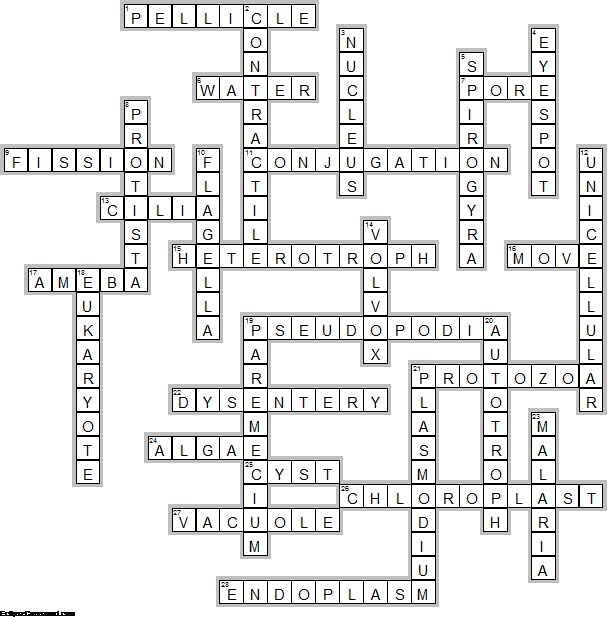 Protist Crossword Protist Crossword