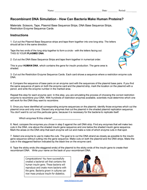 Dna Technology Worksheet
