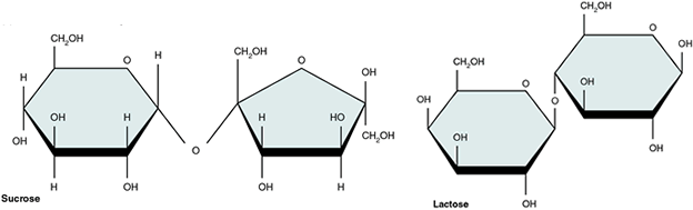 Organic Chemistry Reinforcement