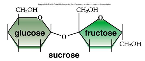 Organic Chemistry, Biochemistry - Dr. Hunter Biology