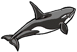 Evolution ­ Review Guide