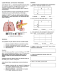 Cystic Fibrosis: Understanding Genetics with Punnett Squares