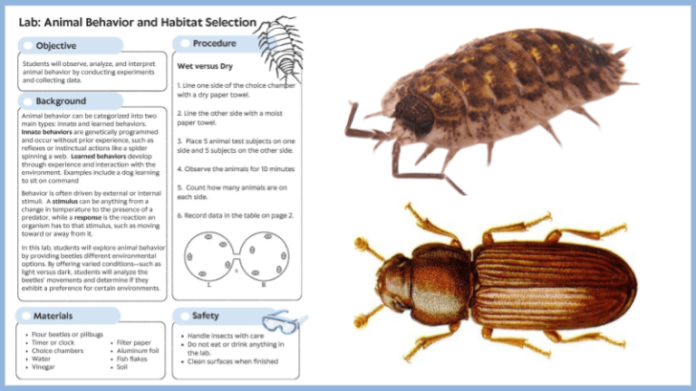 The Biology Corner – Resources for Teachers