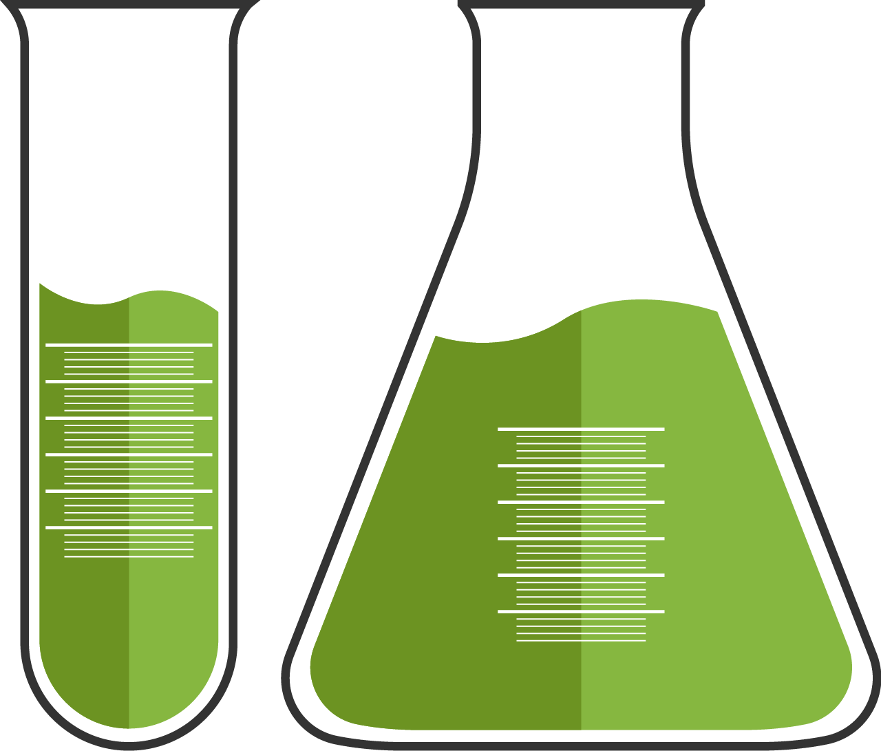 Investigation: Tools and Measurements with Lab Equipment🧪