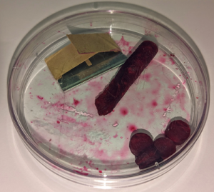 Use Beets to Explore Membrane Permeability