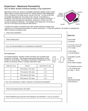 Use Beets to Explore Membrane Permeability