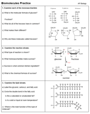 Biomolecules Practice And Reinforcement For AP Bio Microbiologystudy ...