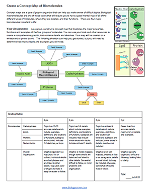Student Created Concept Map of Biomolecules