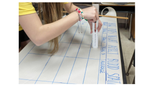 Animal Anatomy, Dissection Guides, and Labeling Practice