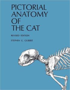 Complete Cat Dissection Guide with Assessment