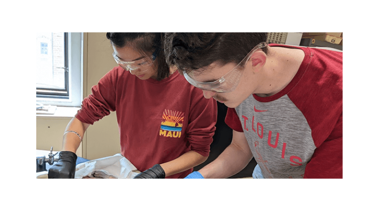 dissection | The Biology Corner