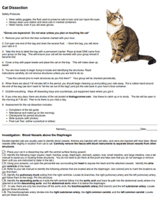 Cat Dissection Guide