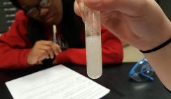 catalase | The Biology Corner