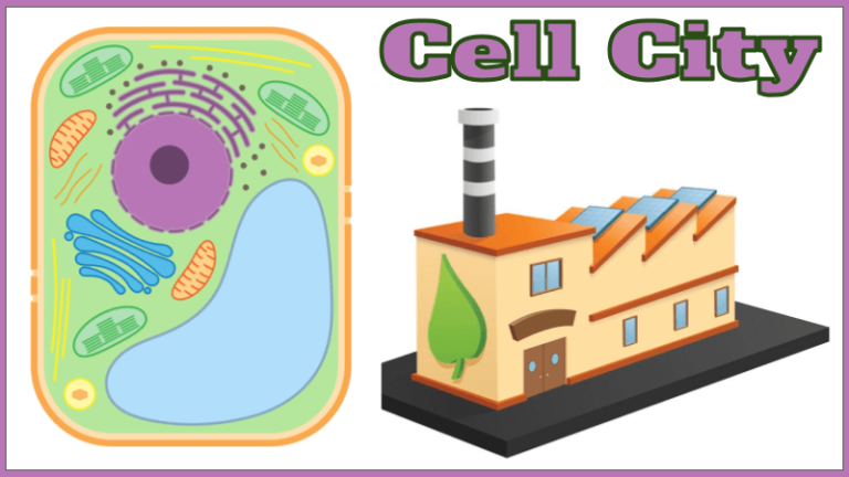 The Biology Corner – Resources for Teachers