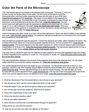 Learn the Parts of the Microscope by Coloring