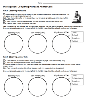 Investigation: Comparing Plant and Animal Cells