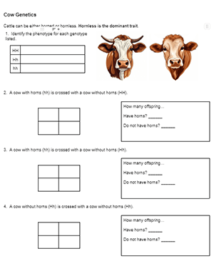 Genetics Practice - Codominant Cow Colors and Polled Trait