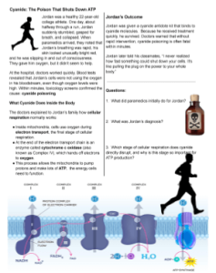 Teach the Electron Transport Chain with Cyanide Poisoning
