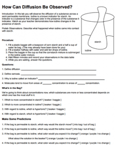 Investigation: Observe Diffusion & Semi-Permeable Membranes