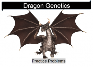 Simple Genetics Practice - Monohybrid Crosses