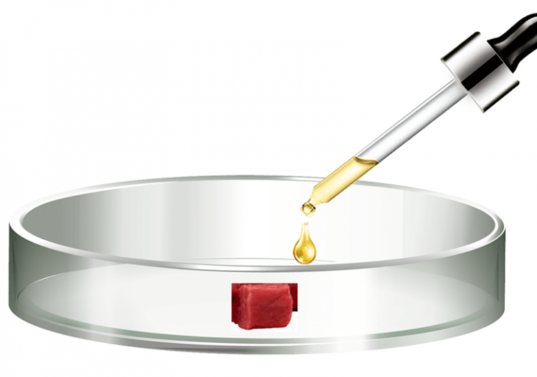Investigation - How Does the Catalase Enzyme Work