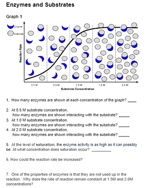 A Graphical Analysis of Enzyme and Substrate Interactions