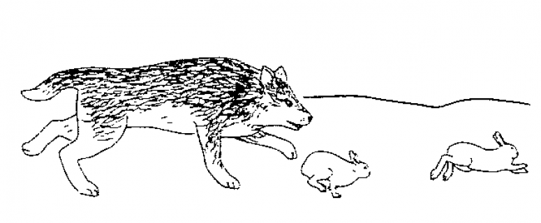 VIDA - A Chart that Summarizes the Process of Evolution