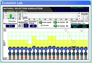 Evolution Crossword Puzzle