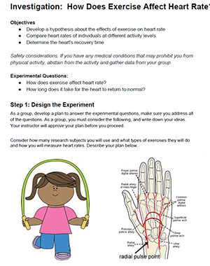 Investigation: How Does Exercise Affect Heart Rate?