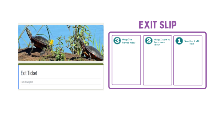 Exit Tickets in the Biology Classroom