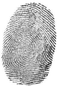 Science of Fingerprints: A Hands-On Activity