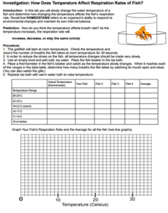 Investigation: Temperature and Fish Respiration Rate
