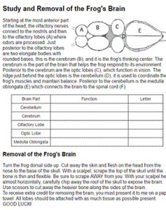 Removal of the Frog’s Brain