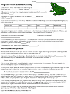 Student Guide to Frog External Anatomy