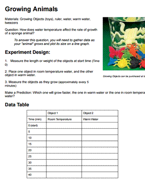 Growing Sponge Animals