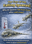 When Iguanas Rain From the Sky: Teaching Homeostasis