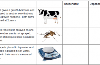 independent | The Biology Corner