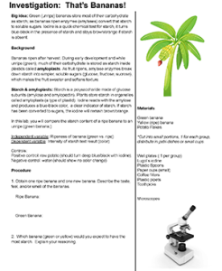 Investigation: Bananas, Starch, and Plastids