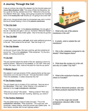 A Journey Through the Cell - Explore the Organelles!