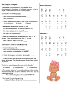 Karyotype Analysis and Chromosome Abnormalities